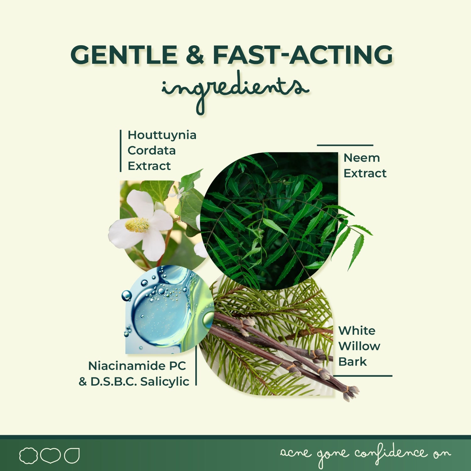 Alite Anti Acne Gel 30 gm | Fast Action on Acne, Pimples | Treats, Rep ...